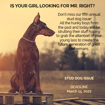 Ruby: An Instagram Sensation and a Tribute to Her Breed - The Doberman ...