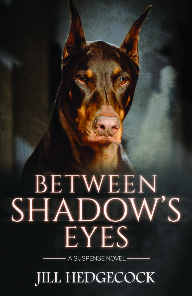 Ruby: An Instagram Sensation and a Tribute to Her Breed - The Doberman ...