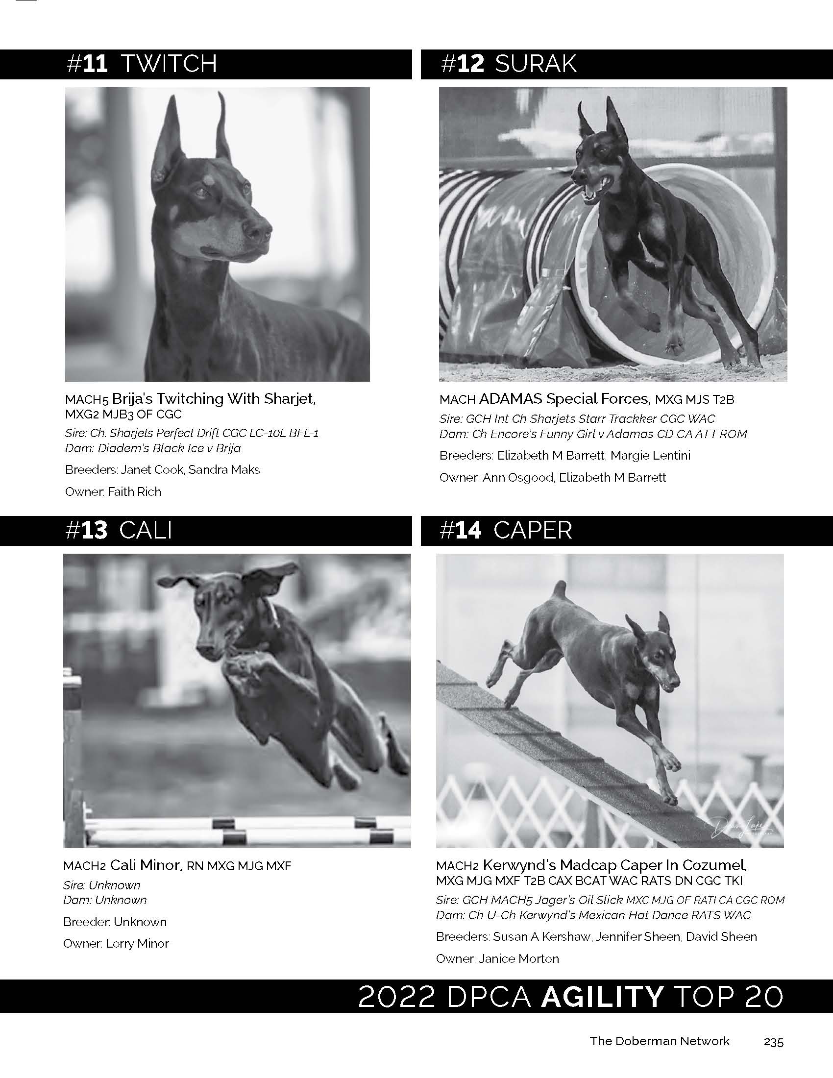 DN2210_ForWeb_Page_235 - The Doberman Network