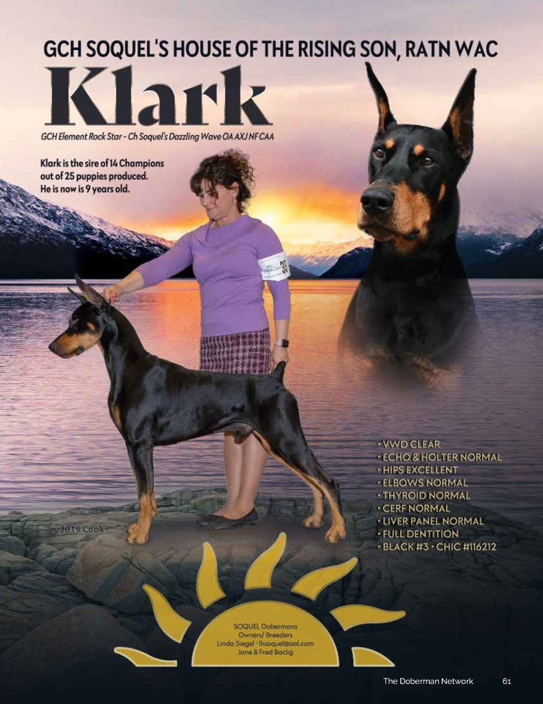 DN2304_Layout_ForWeb_Page_061 - The Doberman Network
